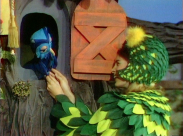 Cousin Mary Owl / Mary Rawson - Mister Rogers' Neighborhood